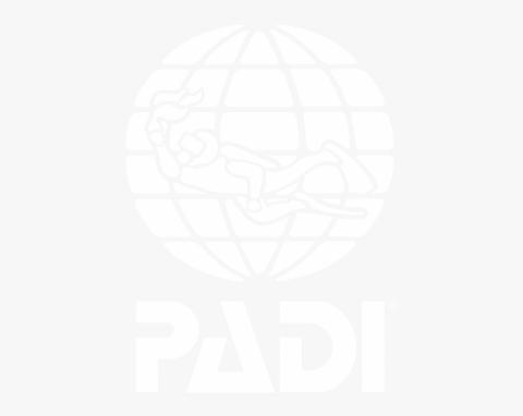 198-1984301_padi-icon-padi-logo-white-png | Wolf Rock DIve