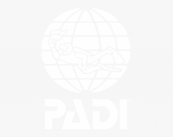 198-1984301_padi-icon-padi-logo-white-png | Wolf Rock DIve
