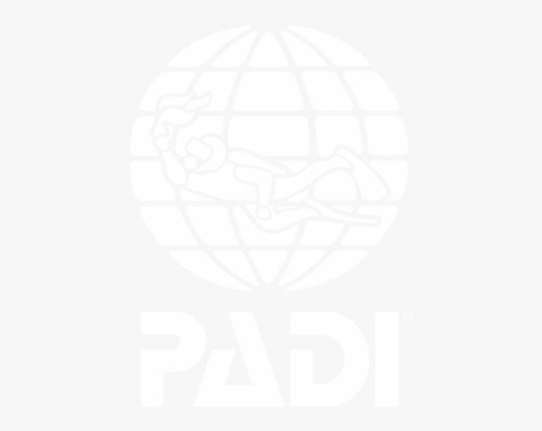 198-1984301_padi-icon-padi-logo-white-png | Wolf Rock DIve