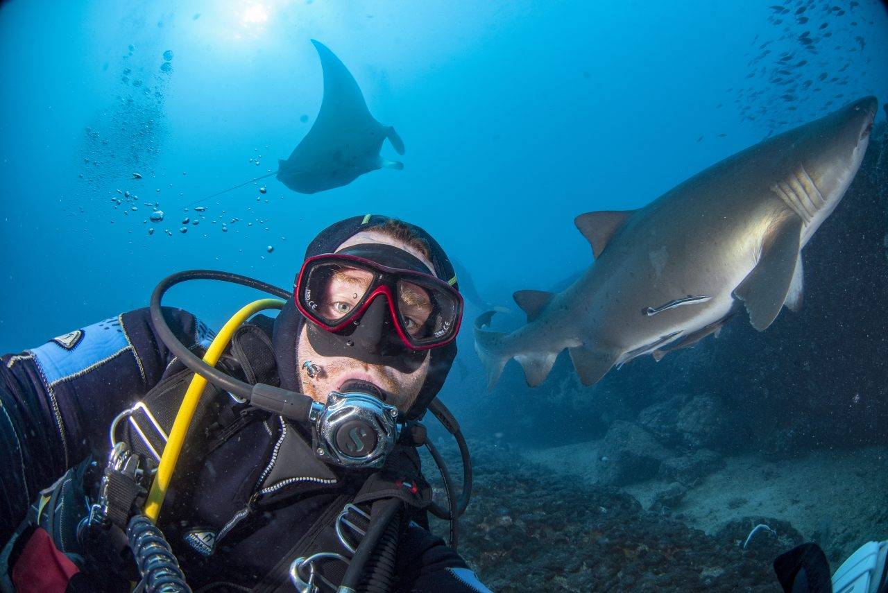 Wolf Rock DIve | Diving with Sharks